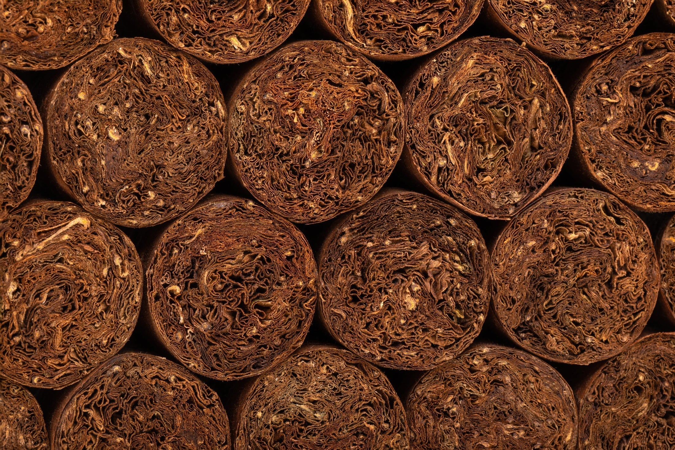 Cigar Shapes, Sizes, And Colors | The Ultimate Guide – Refined Traditions